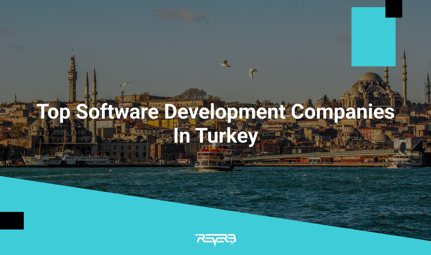 Top Software Development Companies In Turkey | REVERB