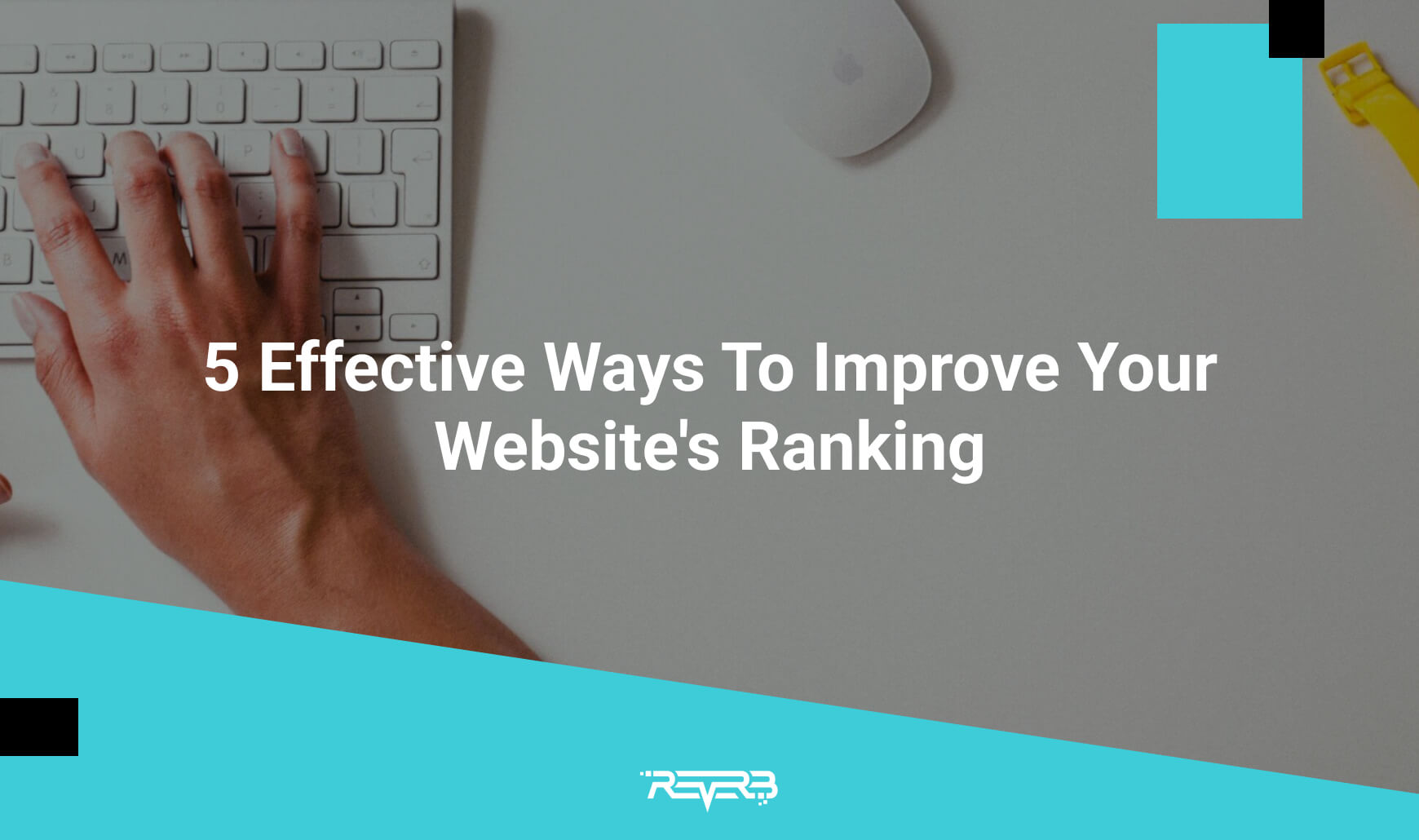 5 Effective Ways To Improve Your Website’s Ranking | REVERB