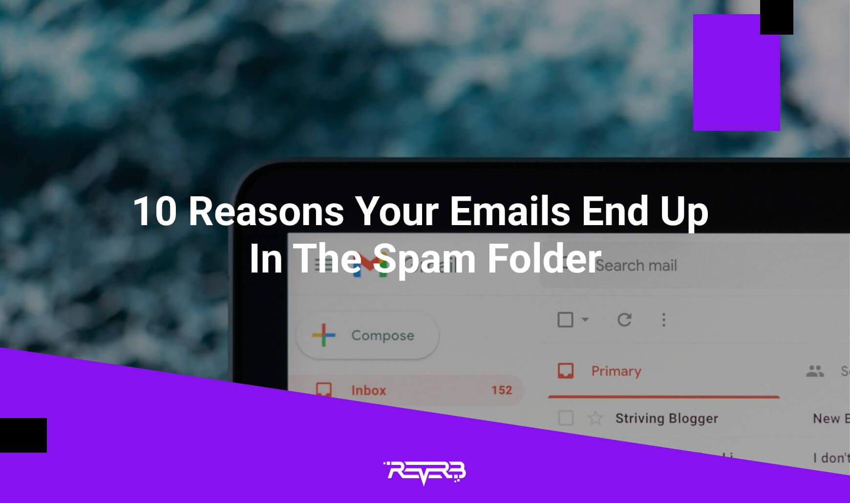 10 Reasons Your Emails End Up in the Spam Folder - ReVerb