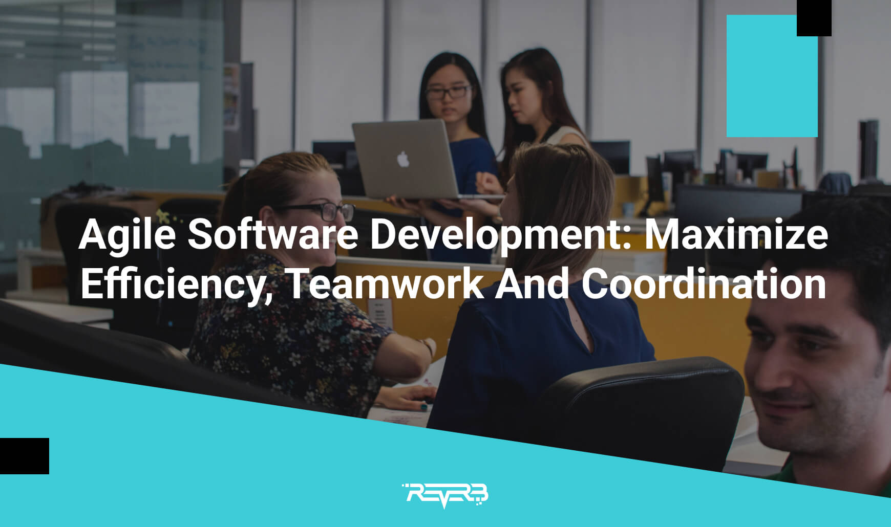 Agile Software Development: Maximize Efficiency, Teamwork And Coordination | REVERB