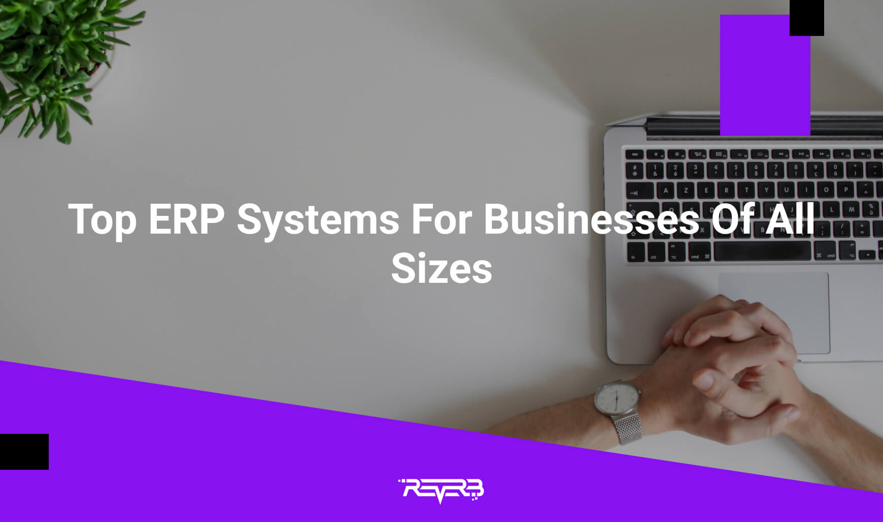 Top ERP Systems for Businesses of All Sizes - ReVerb