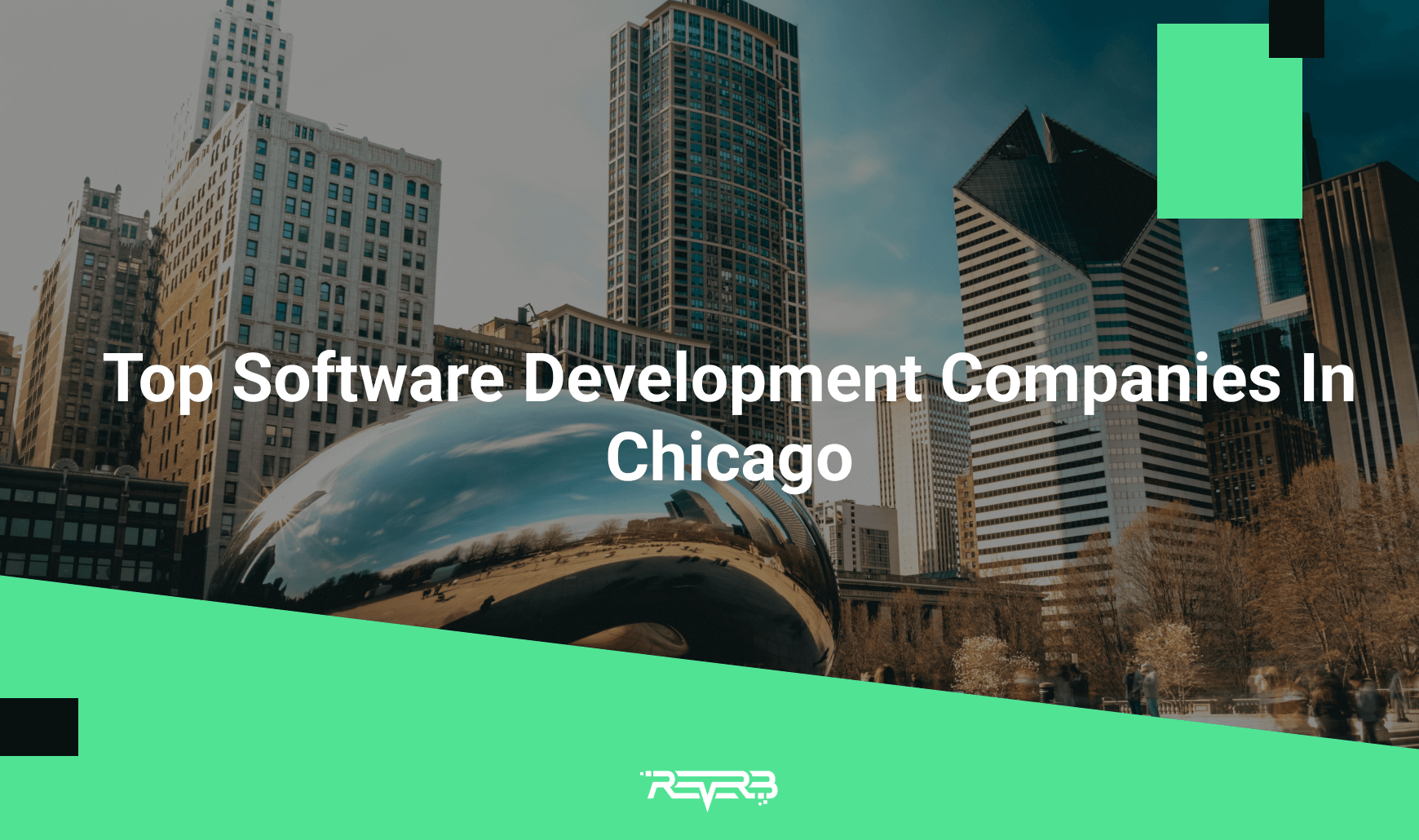 Top Software Development Companies In Chicago | REVERB