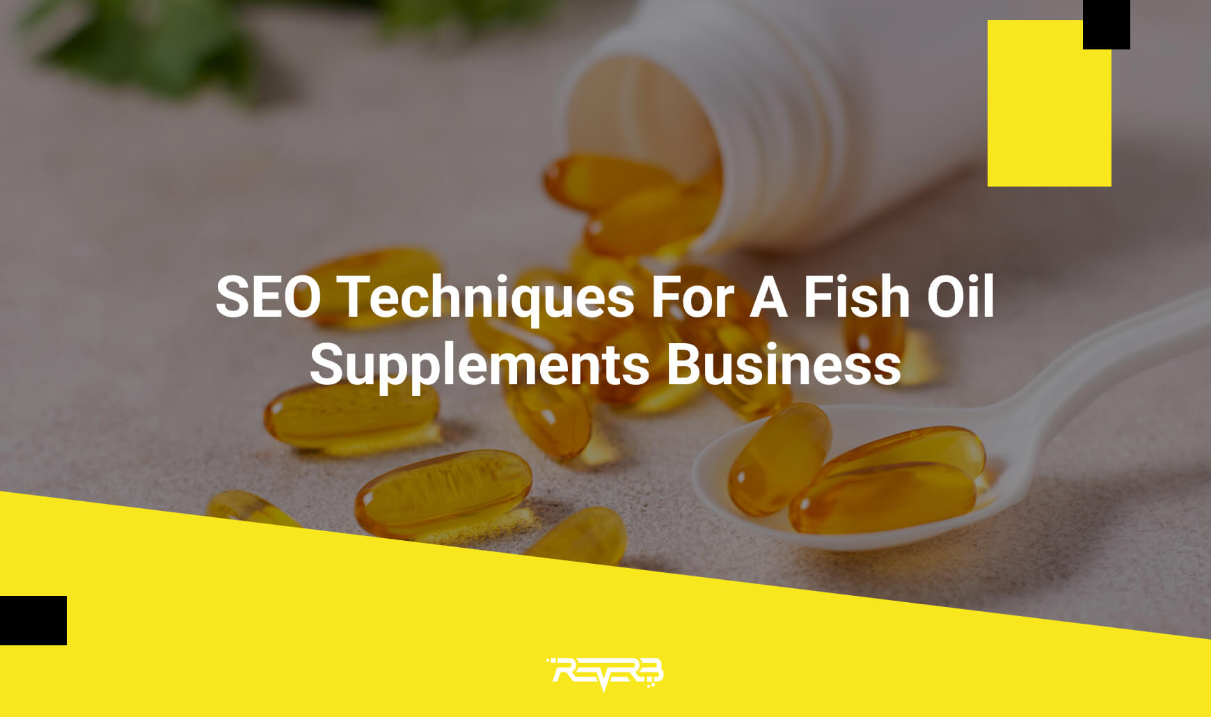 SEO Techniques for a Fish Oil Supplements Business - ReVerb