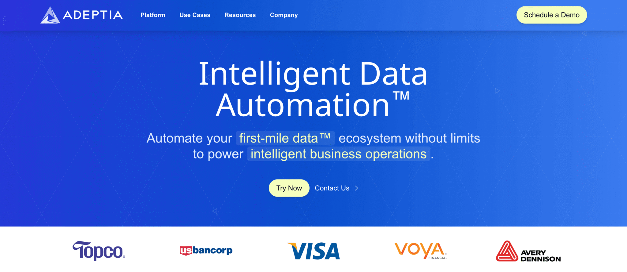 Top Data Architecture Consulting Companies In 2025 | REVERB