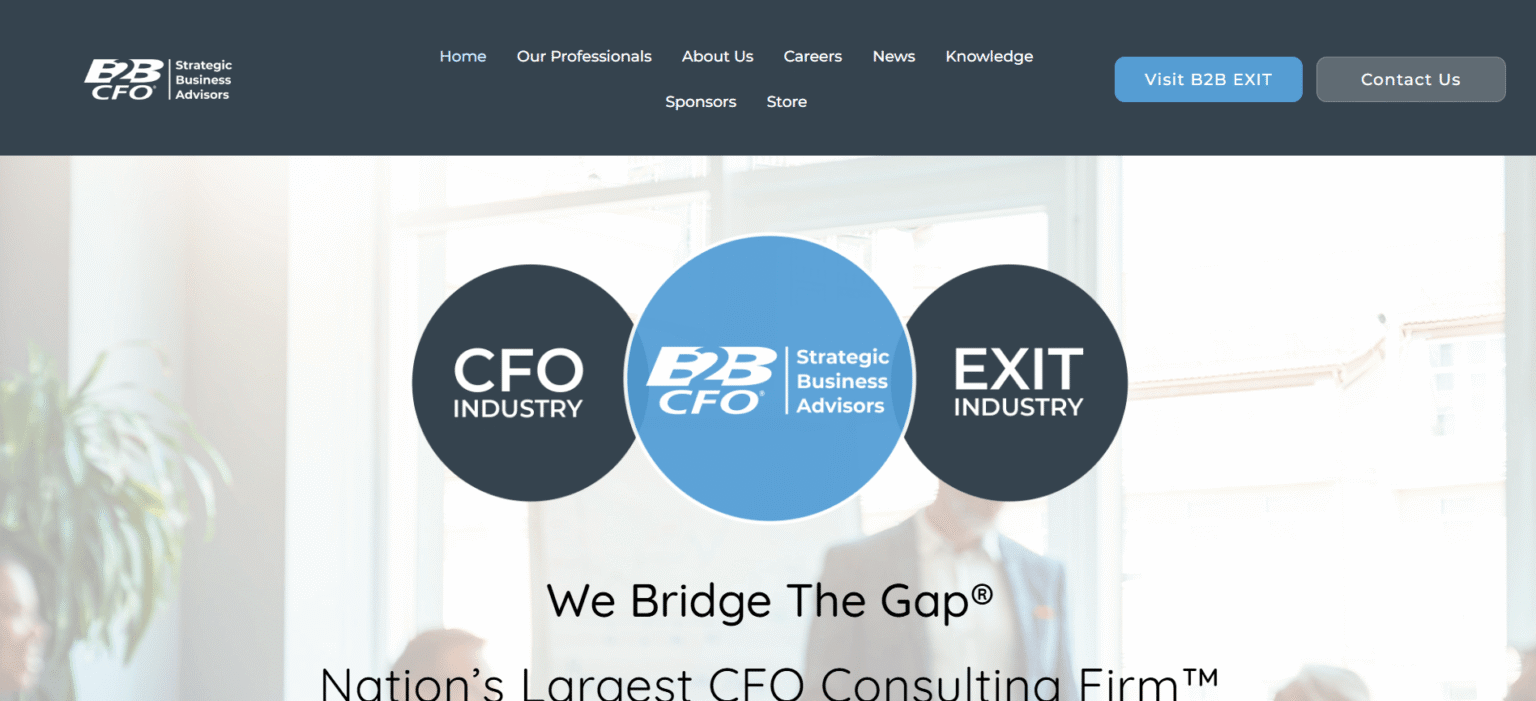 Best Virtual CFO Services And Companies In 2026 | REVERB